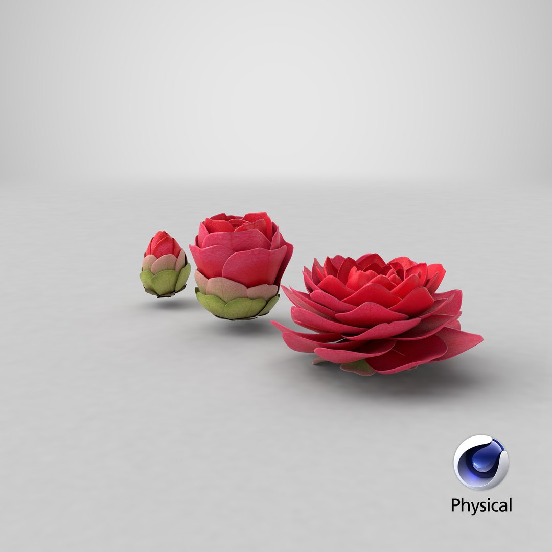 3D model bud blossom evolution - TurboSquid 1284740