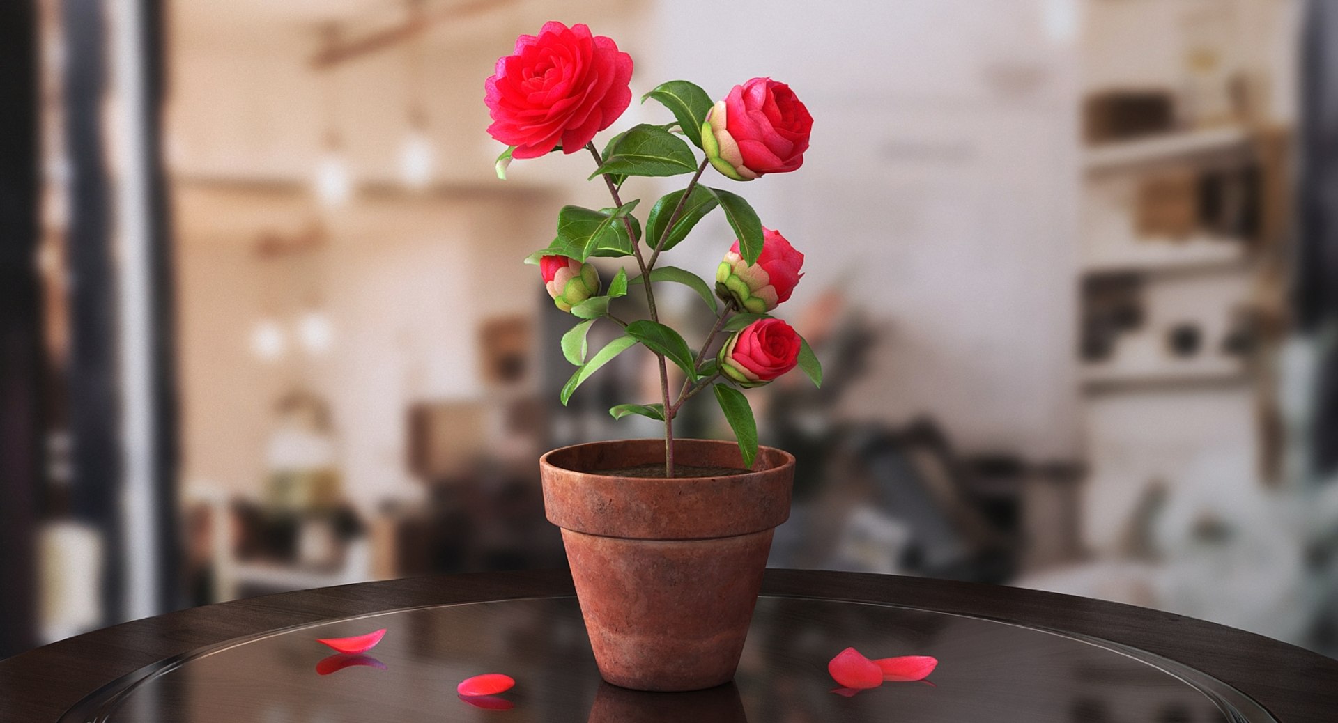 3D Model Bud Blossom Evolution - TurboSquid 1284740