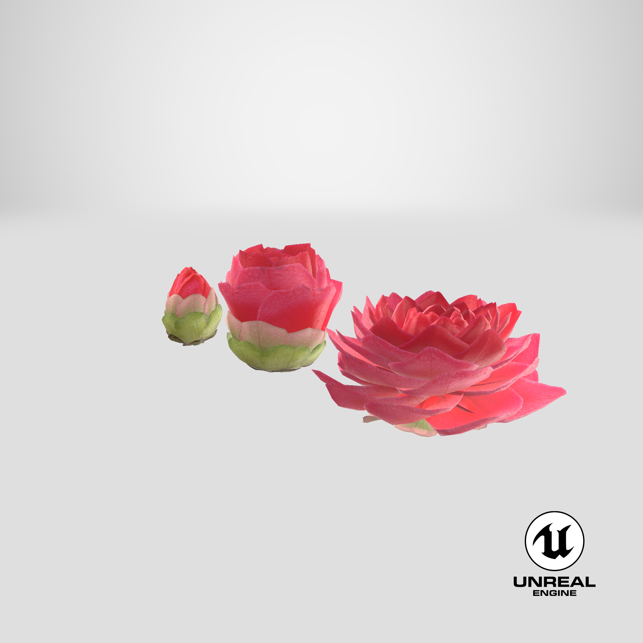 3D model bud blossom evolution - TurboSquid 1284740
