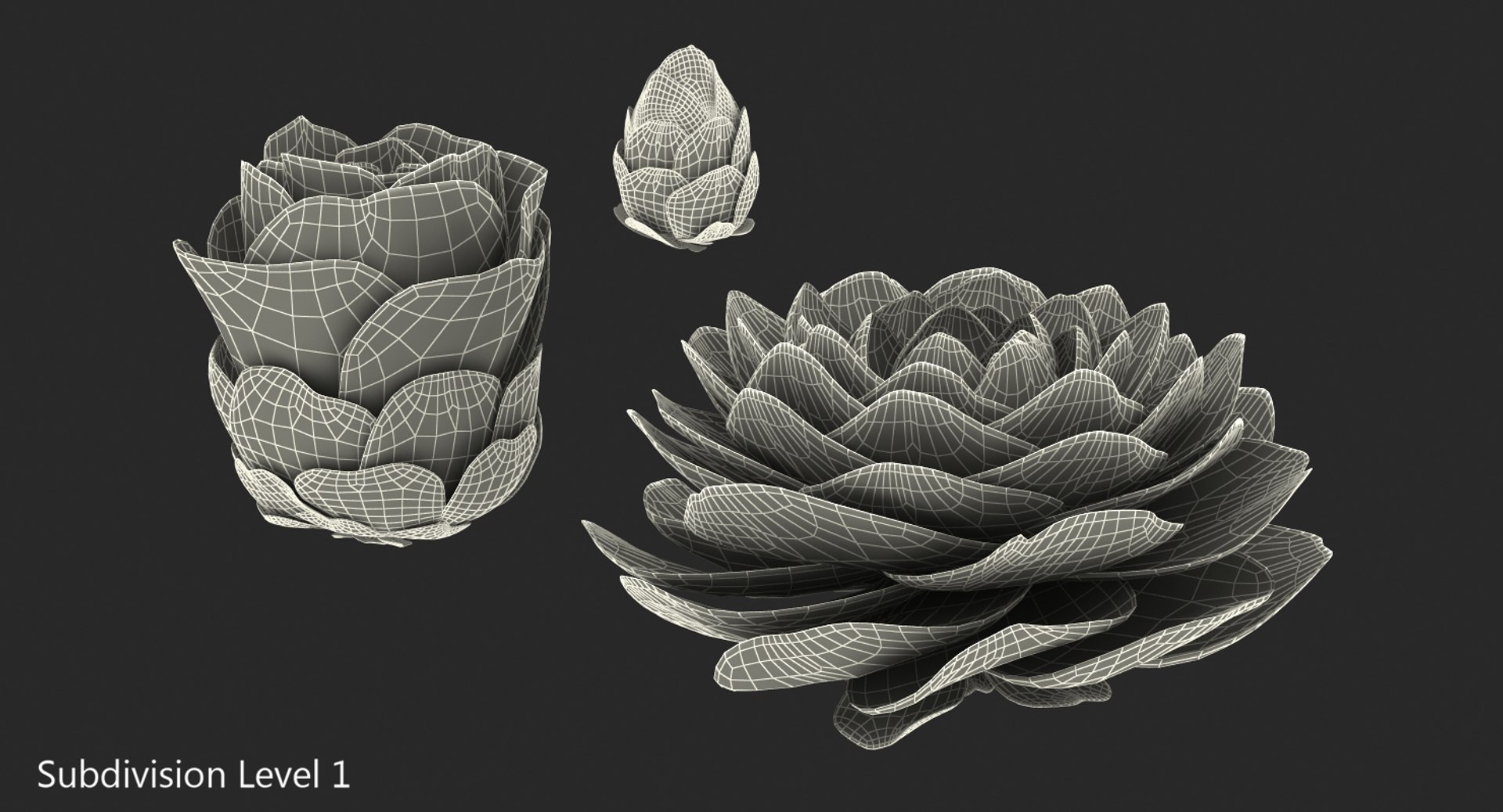 3D Model Bud Blossom Evolution - TurboSquid 1284740