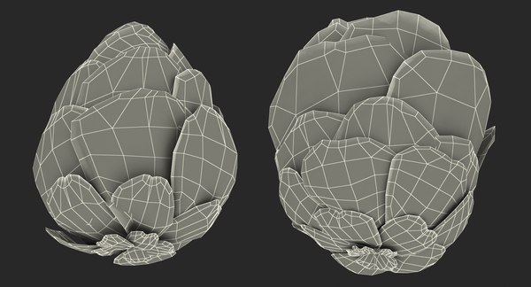 3D model bud blossom evolution - TurboSquid 1284740