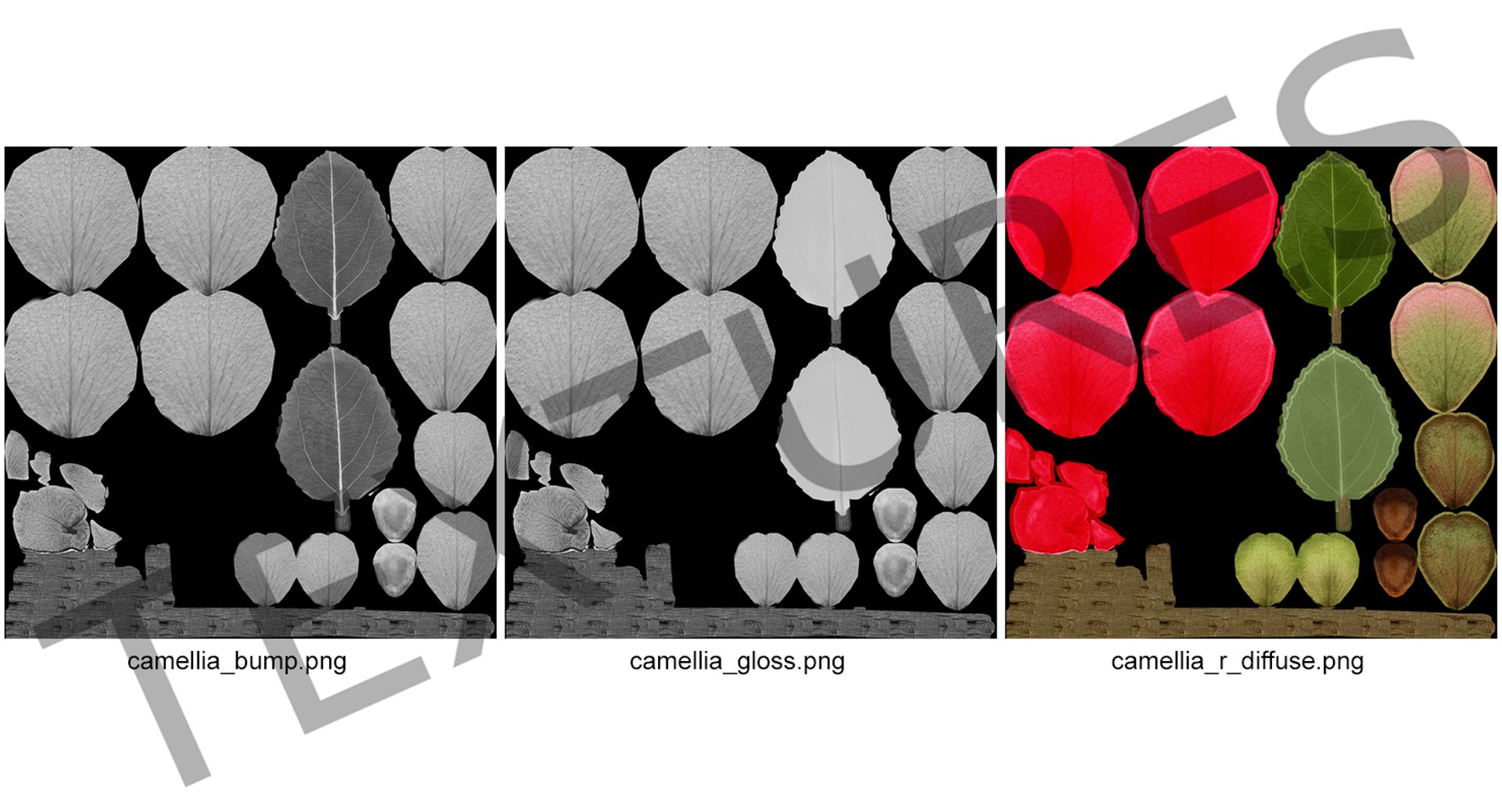 3D Model Bud Blossom Evolution - TurboSquid 1284740