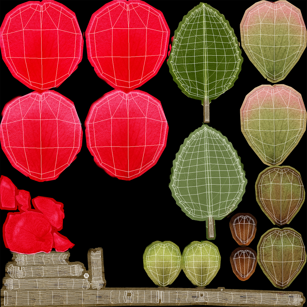 3D model bud blossom evolution - TurboSquid 1284740