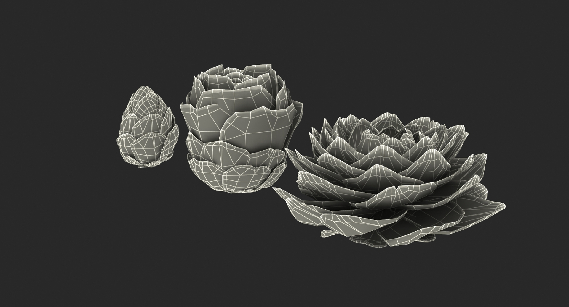 3D Model Bud Blossom Evolution - TurboSquid 1284740