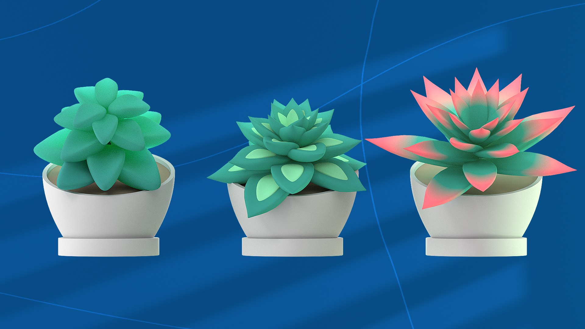 Succulents In Pots Collection - Illustrative Cartoon Nature 3D Model ...