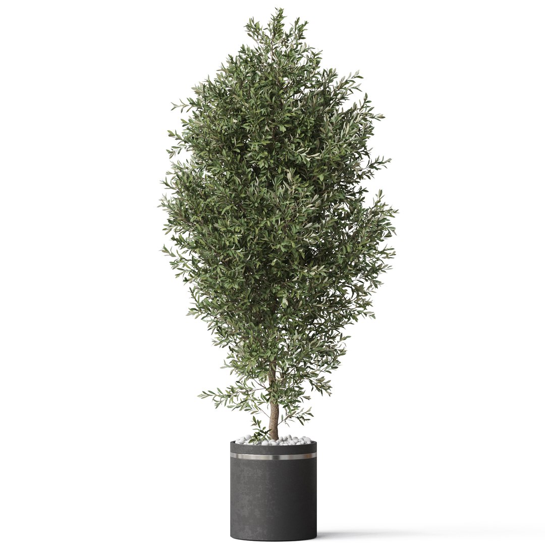 Plants Collection 790 3D - TurboSquid 1963606