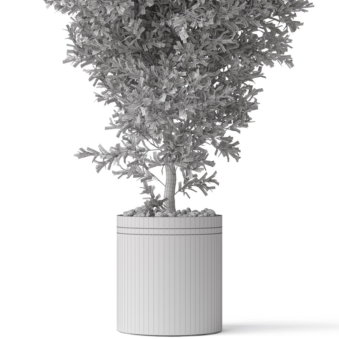 Plants Collection 790 3D - TurboSquid 1963606