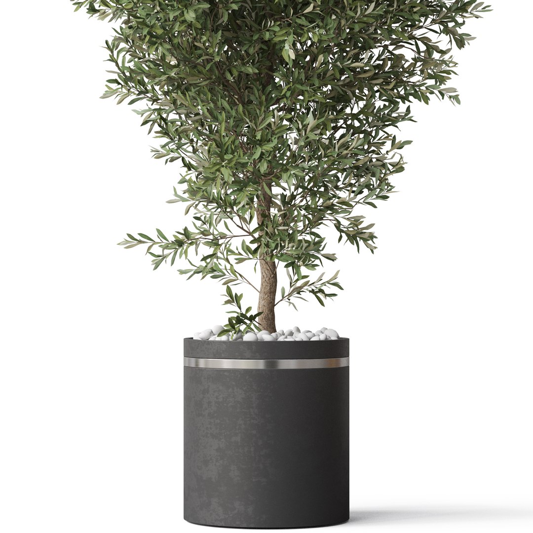 Plants Collection 790 3D - TurboSquid 1963606