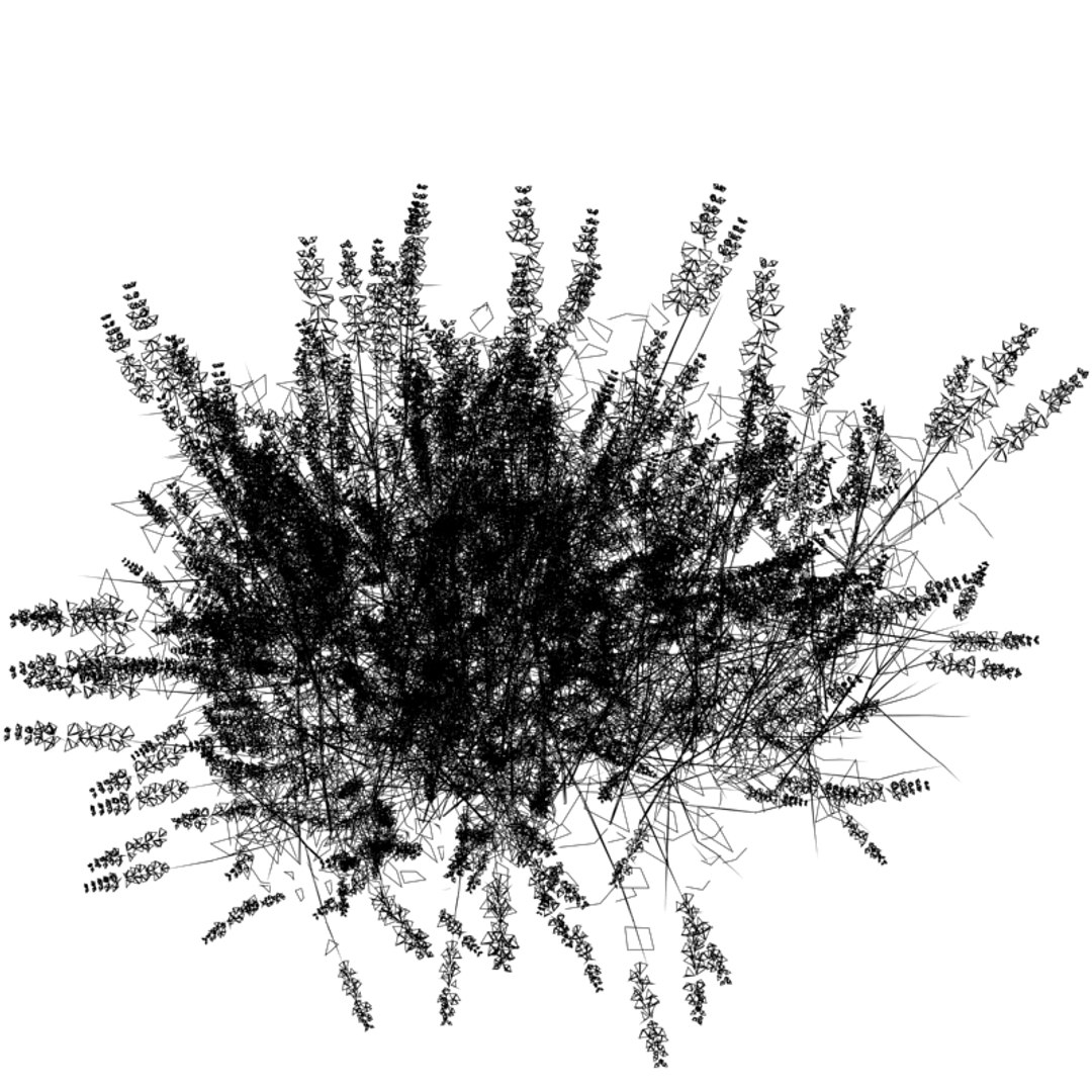 Clethra Alnifolia Hummingbird 3d Model