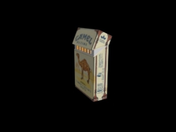 3d camel flip model