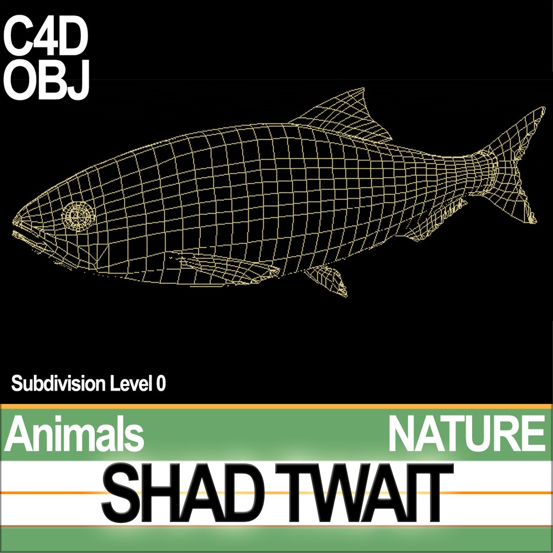 3D Shad Twait Model - TurboSquid 1231552