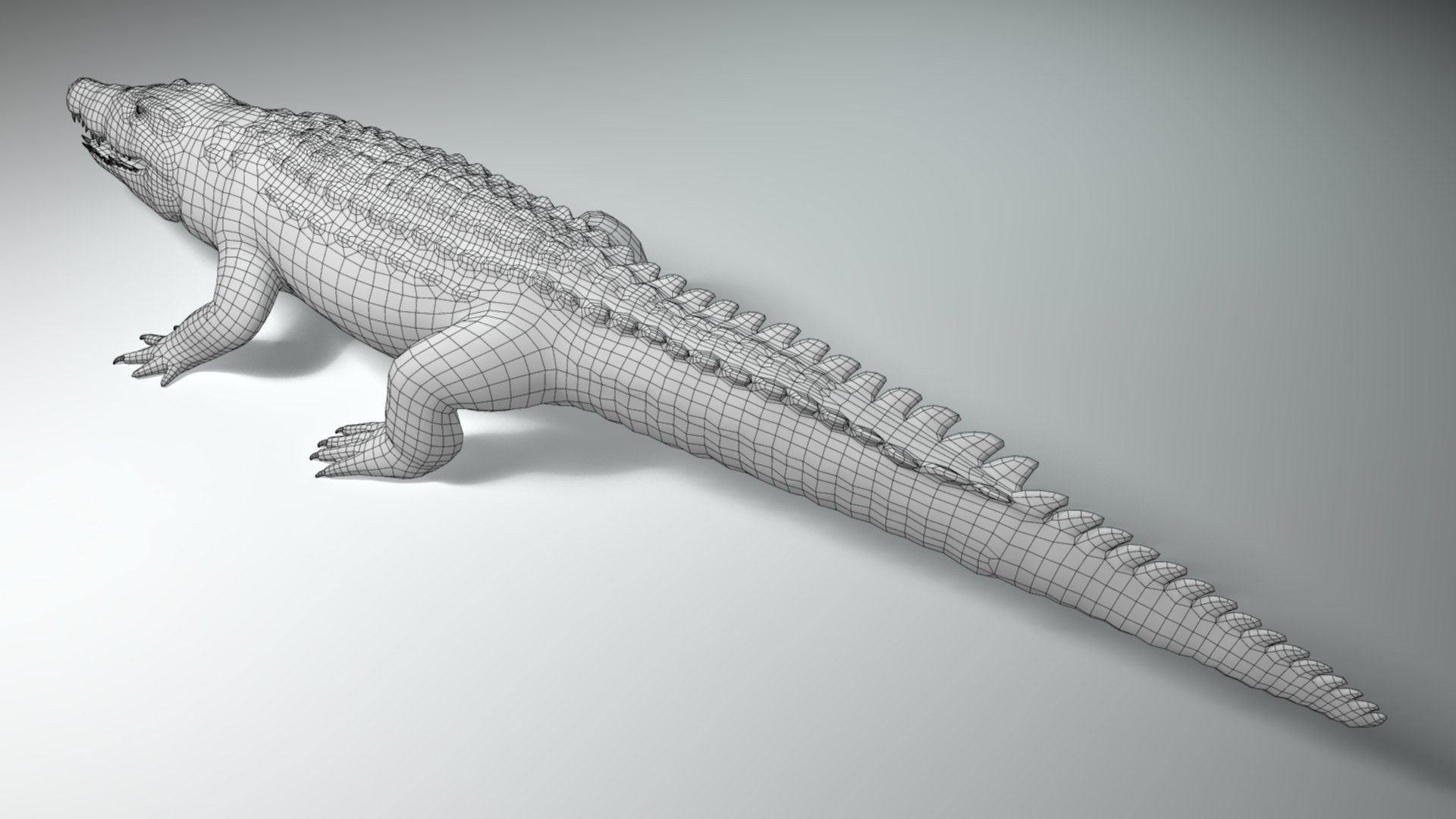 Crocodile Croc 3D Model - TurboSquid 1220246