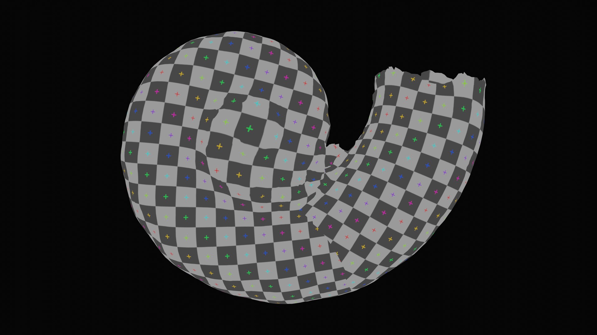 Common Sea Spirula 3D - TurboSquid 1627545