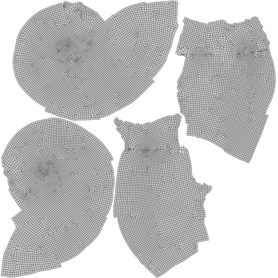 Common Sea Spirula 3D - TurboSquid 1627545