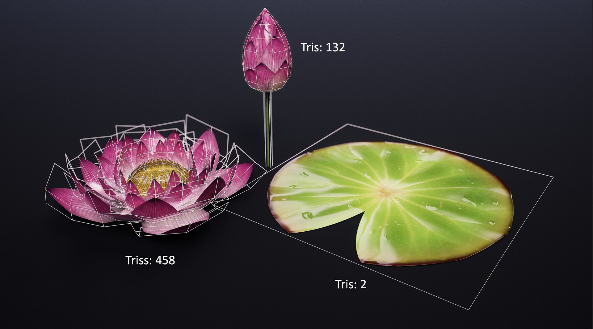 Lotus 3D Model - TurboSquid 2186123