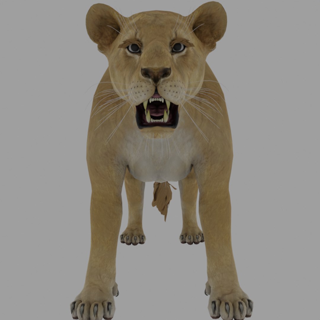 Loin Model - TurboSquid 2279608