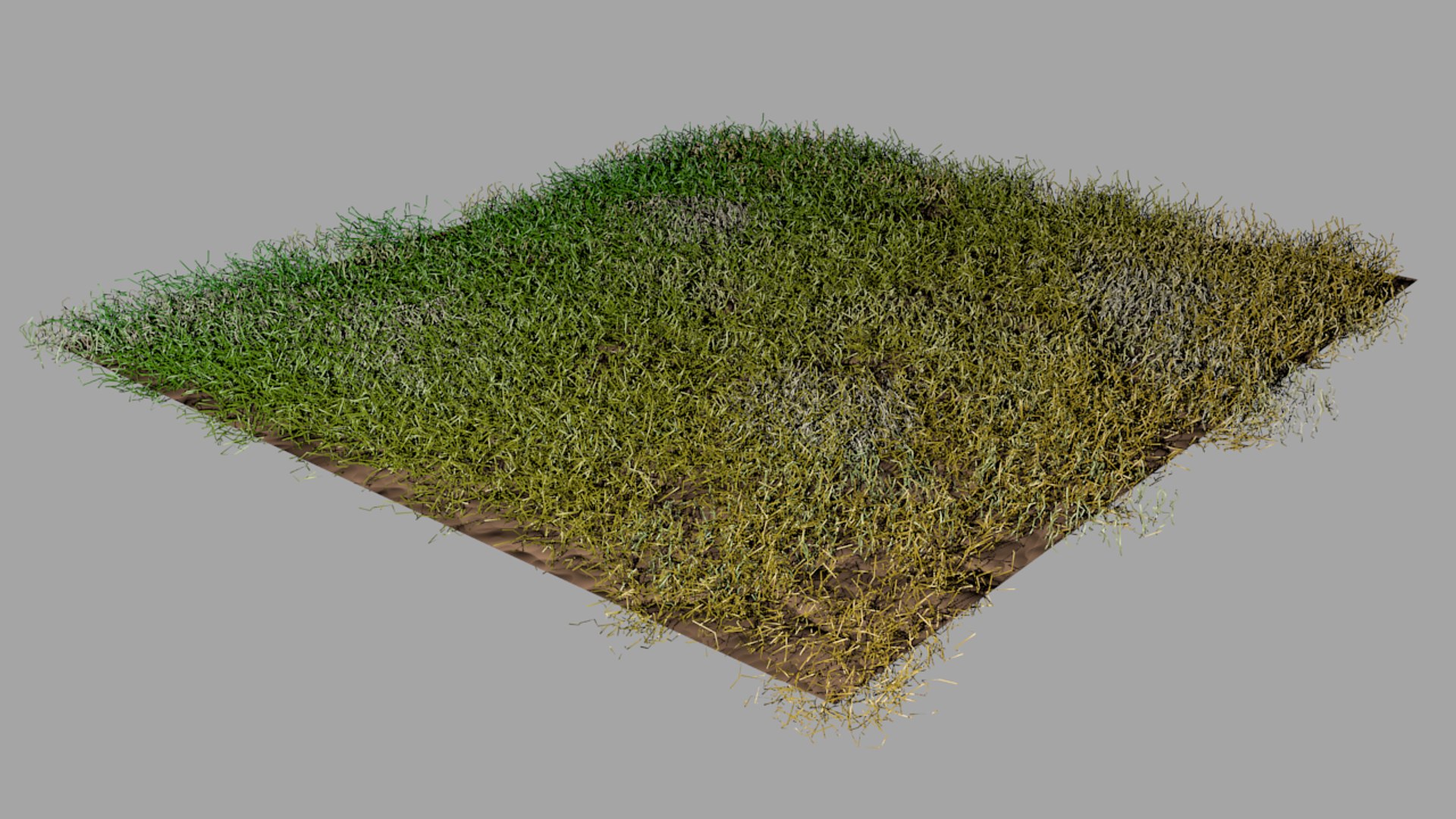3d grass