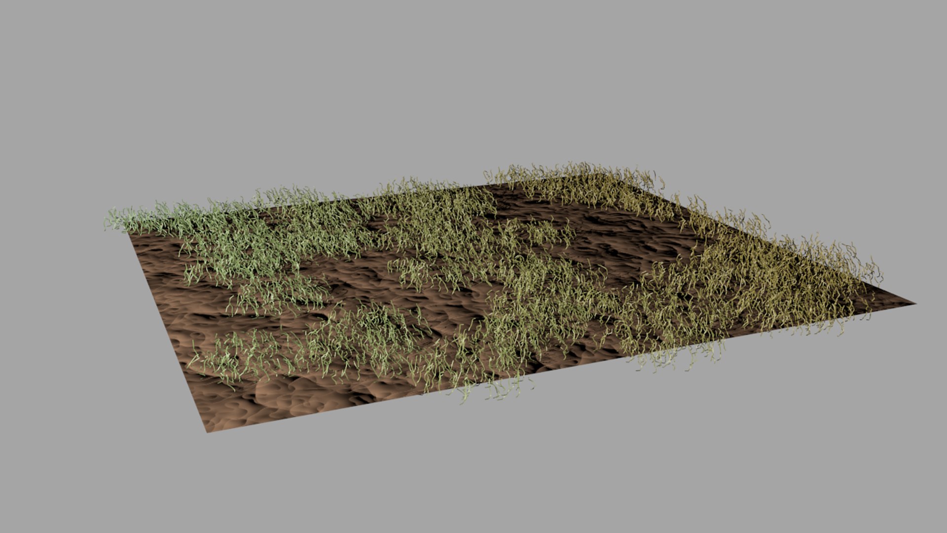 3d grass