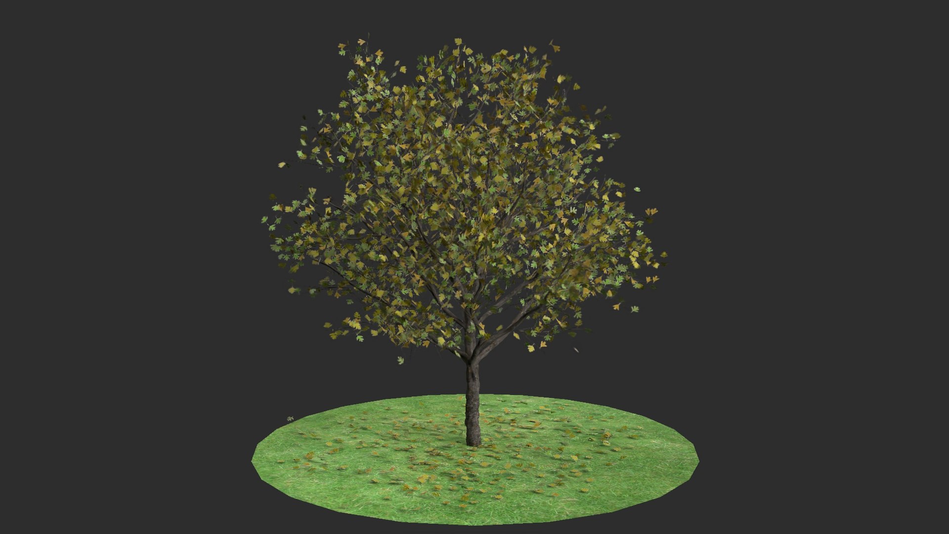 Hawthorn Autumn Hight 3D Model - TurboSquid 1625826