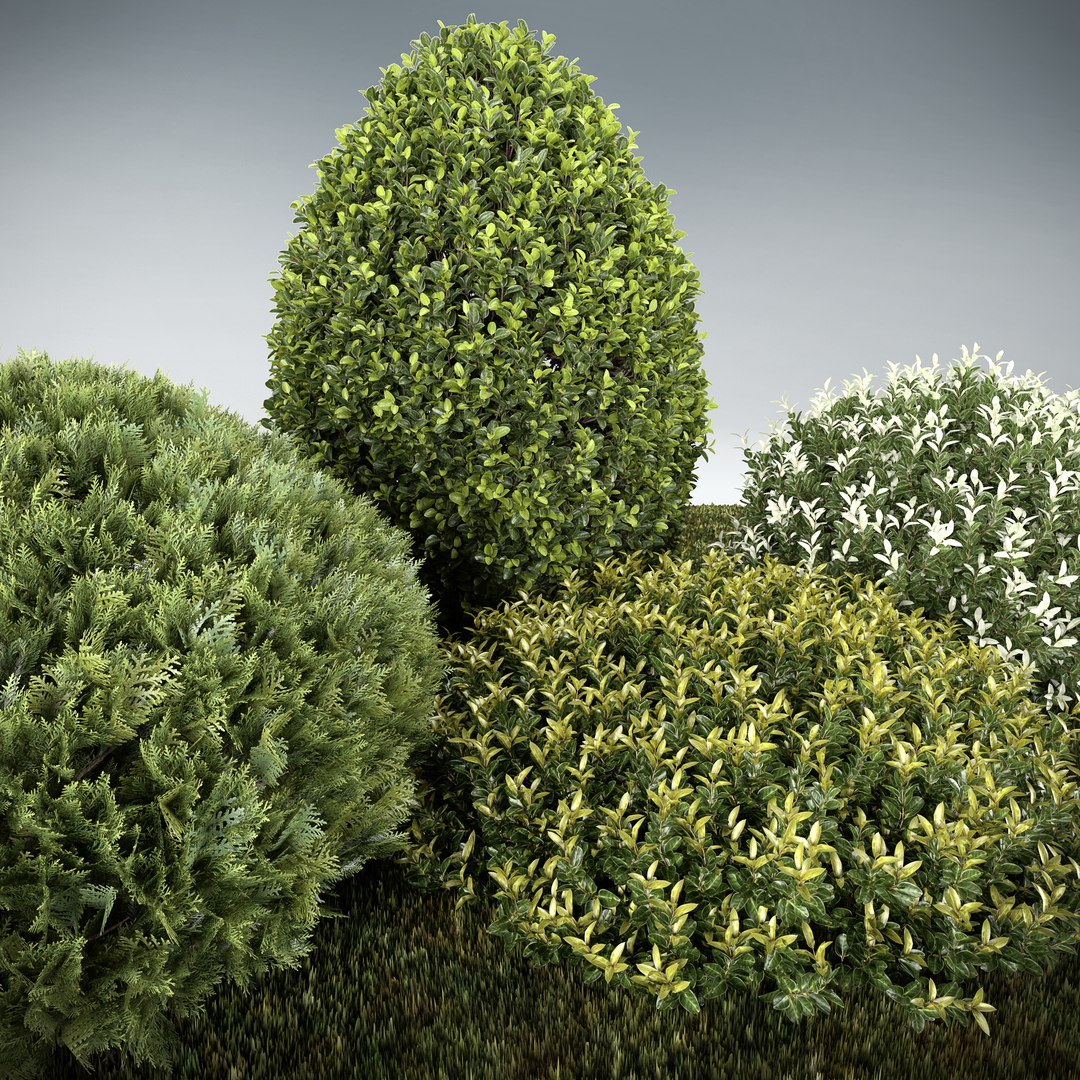 Group Of Outdoor Plants Hedges 3D Model - TurboSquid 2009534