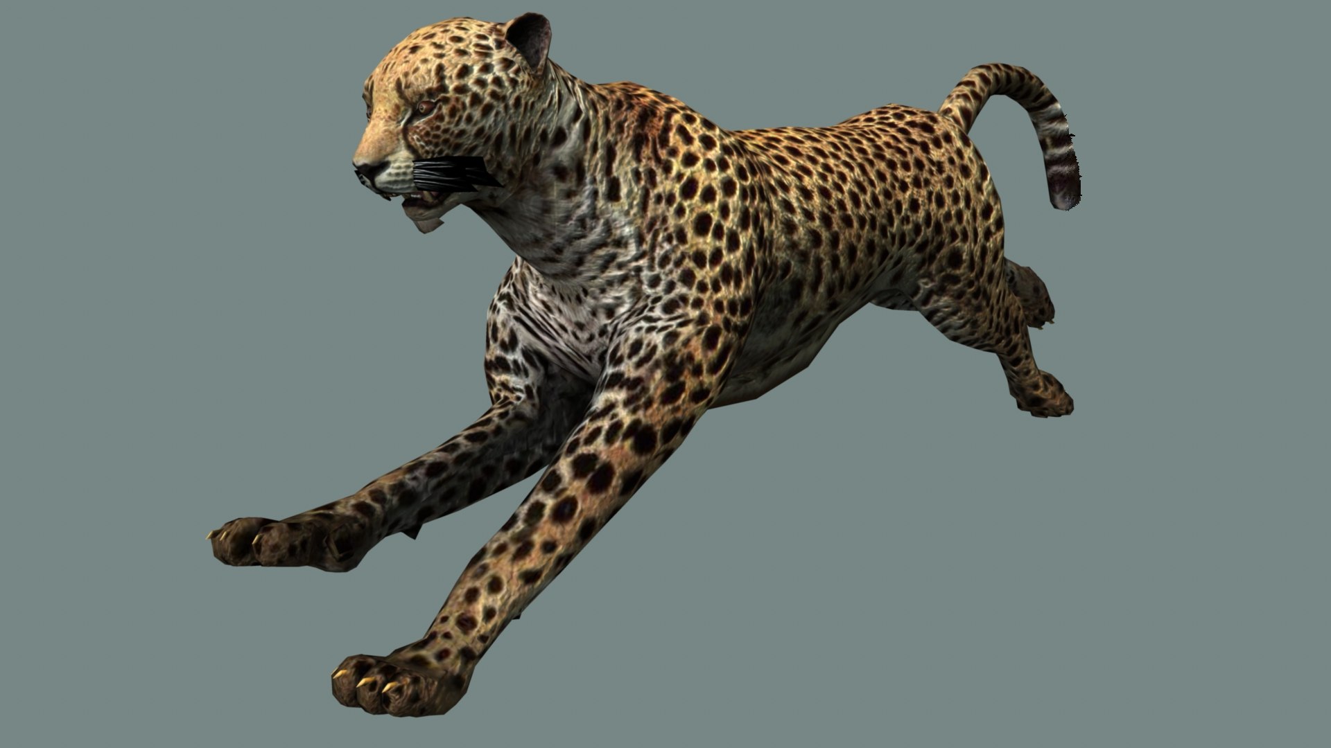 3D Cheetah Leopard Jaguar - TurboSquid 2211173
