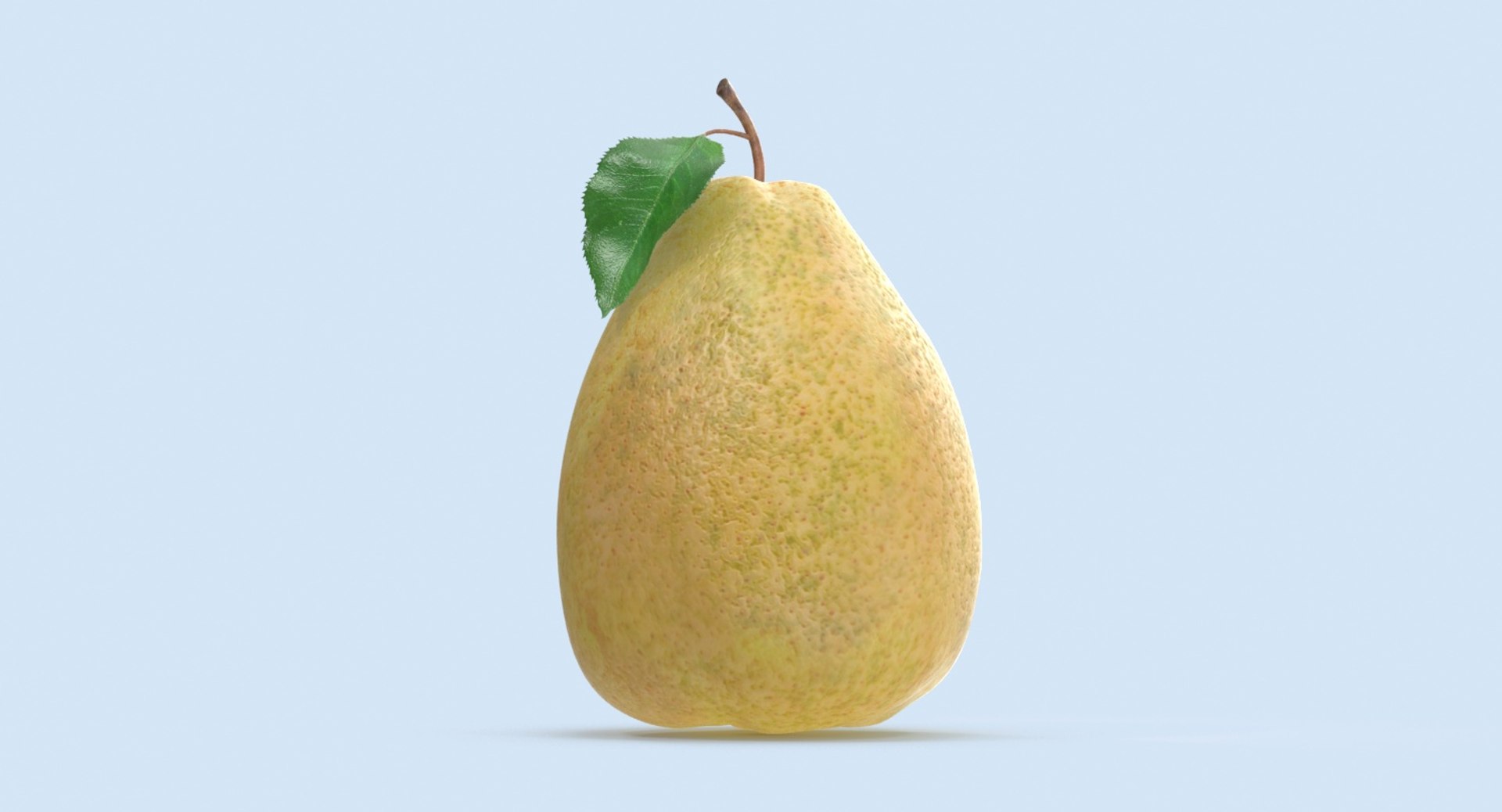 3d Model Pear 06