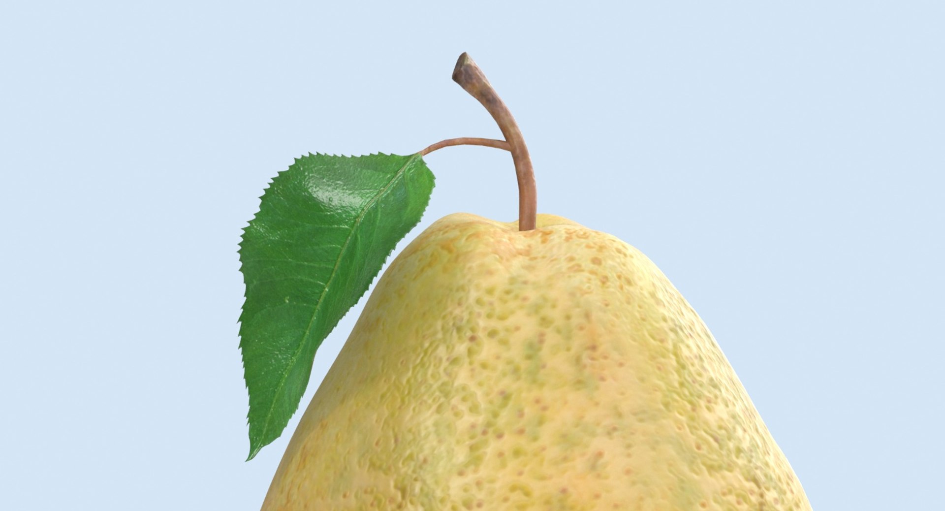 3d Model Pear 06