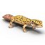 Max Leopard Gecko Rigged