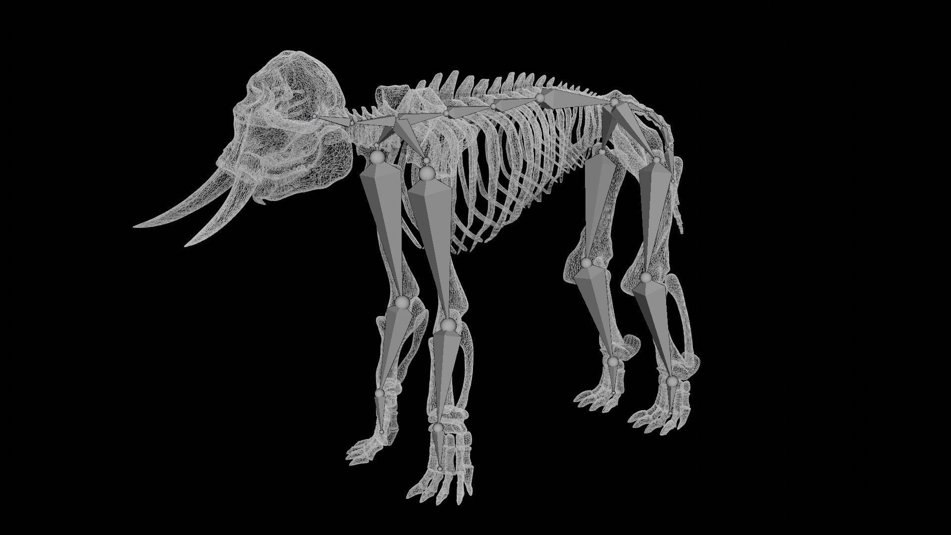 Rigged Elephant Skeleton 3D Model - TurboSquid 1851981