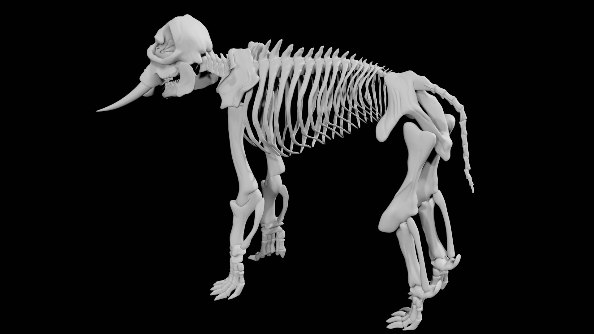 Rigged Elephant Skeleton 3D Model - TurboSquid 1851981