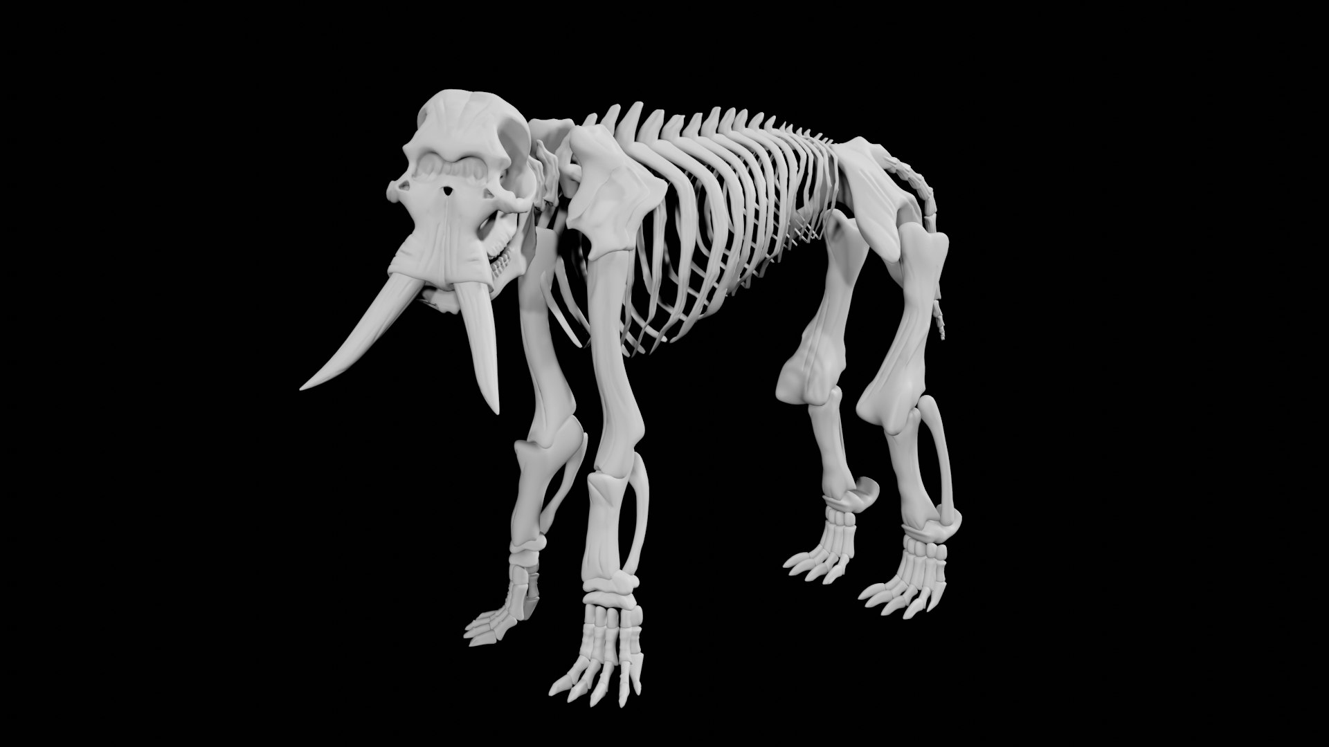 Rigged Elephant Skeleton 3D Model - TurboSquid 1851981