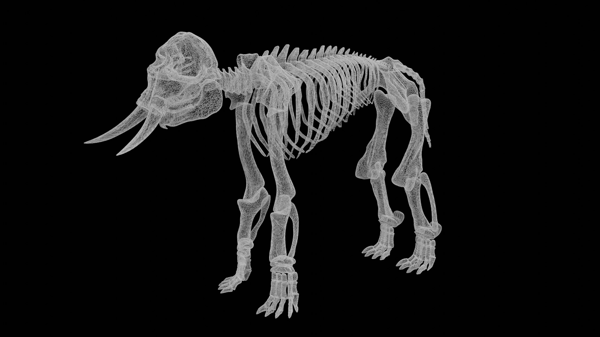 Rigged Elephant Skeleton 3D Model - TurboSquid 1851981