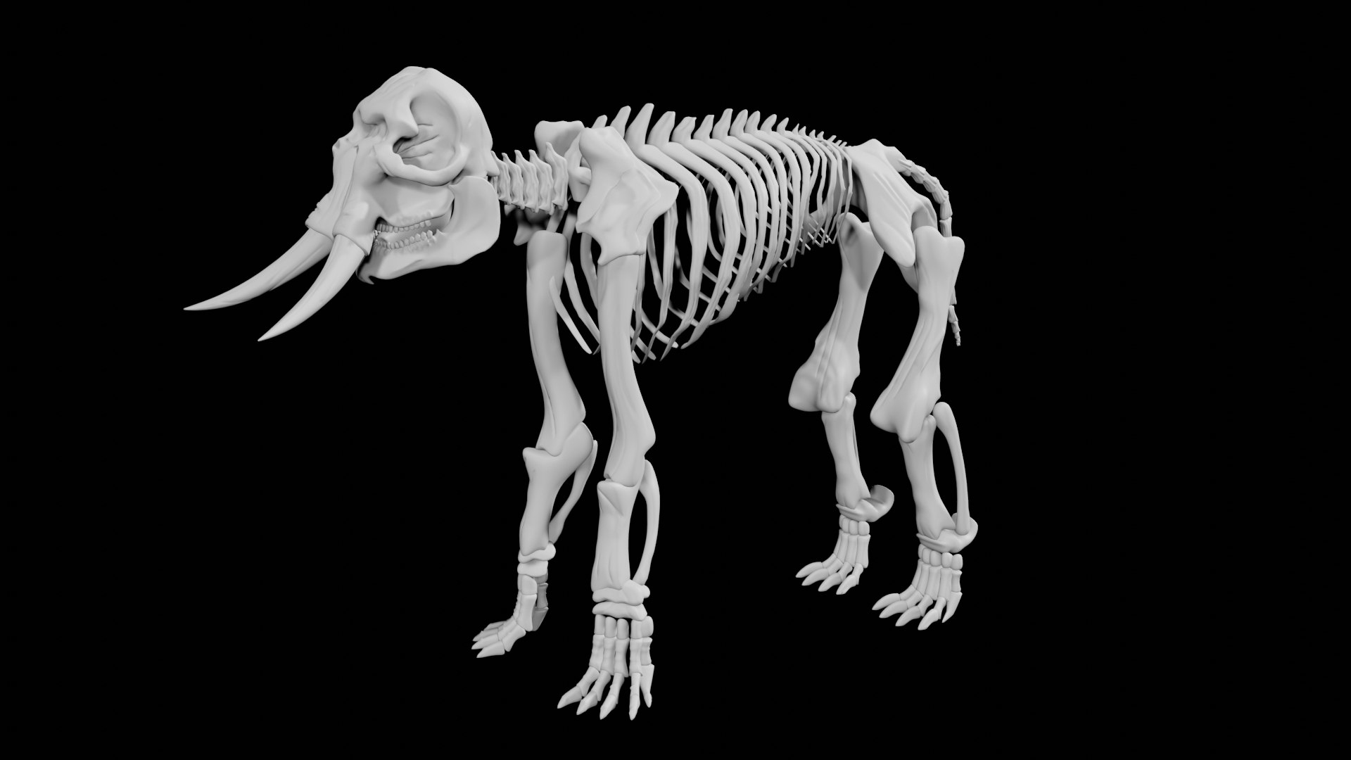 Rigged Elephant Skeleton 3D Model - TurboSquid 1851981