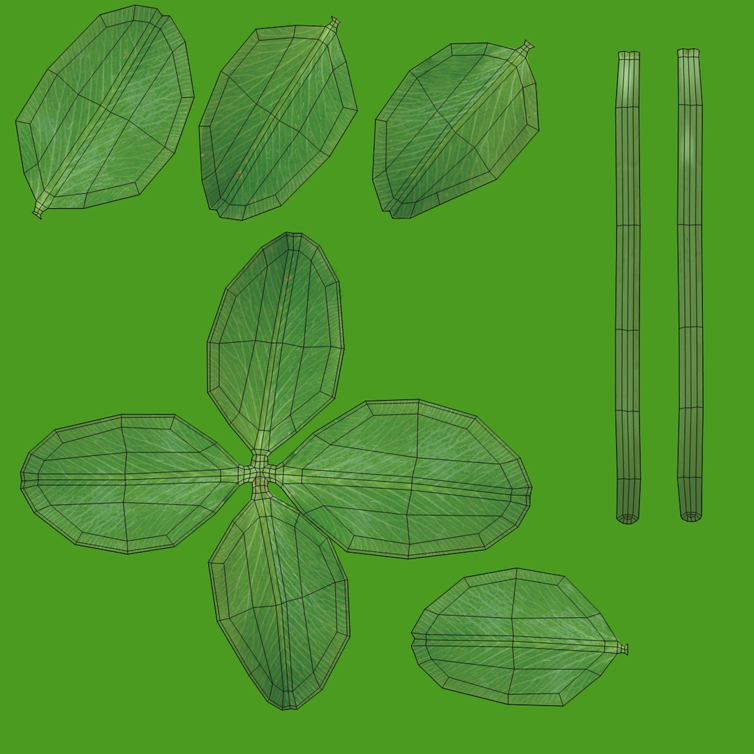 3D Clover Plant Pbr Model - TurboSquid 1300458