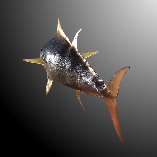 maya fish rigged