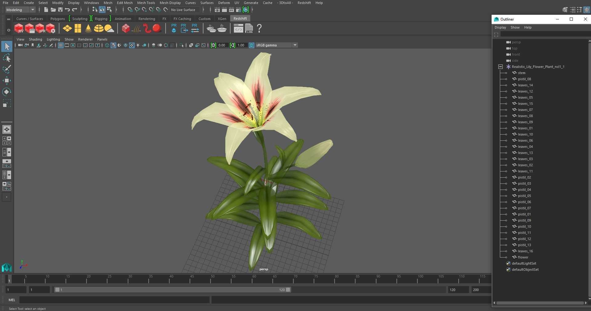 3D Realistic Lily Flower Plant - TurboSquid 2246847