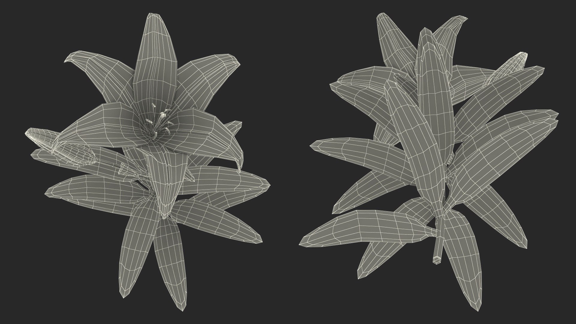 3D Realistic Lily Flower Plant - TurboSquid 2246847