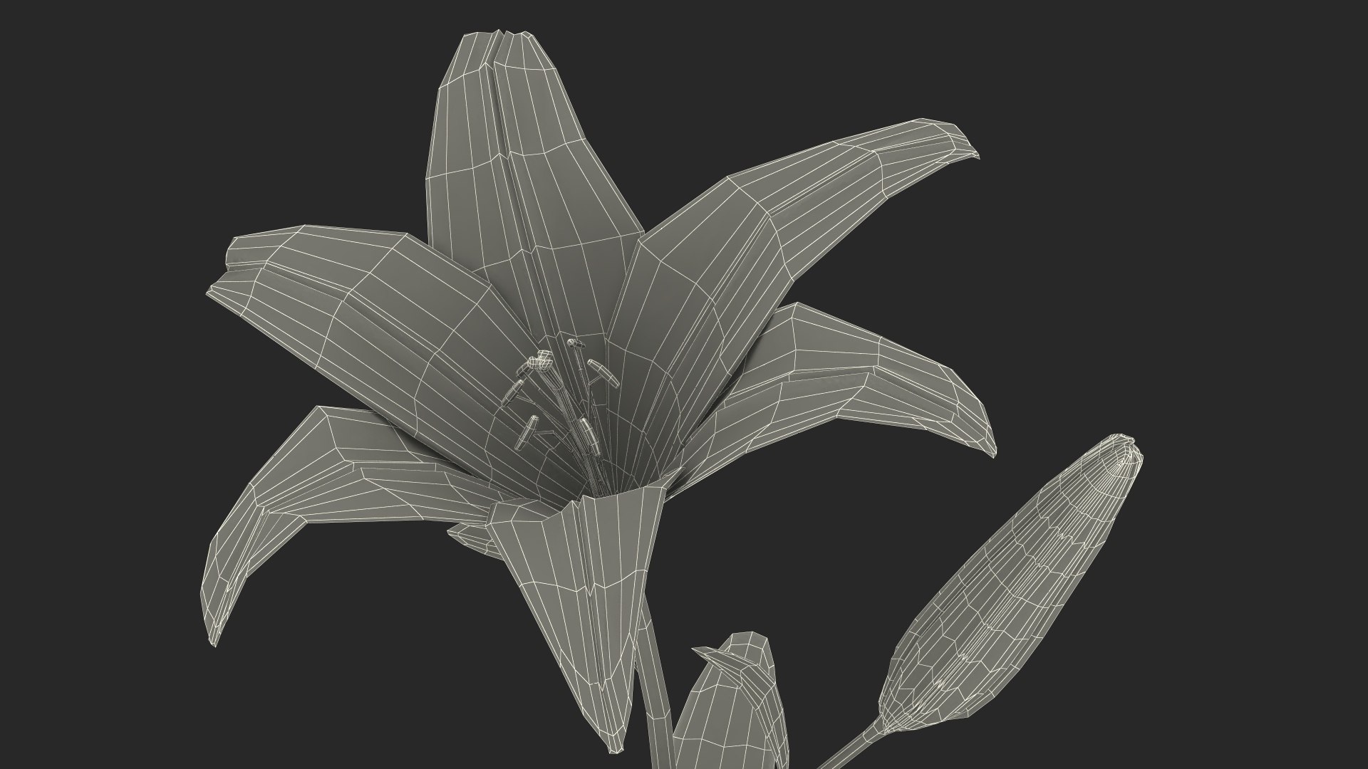 3D Realistic Lily Flower Plant - TurboSquid 2246847