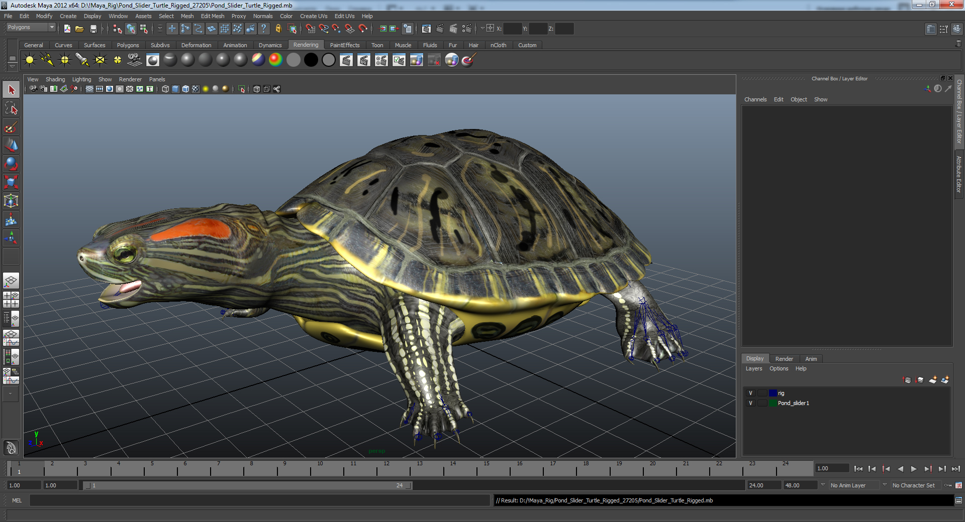pond slider turtle rigged 3d model