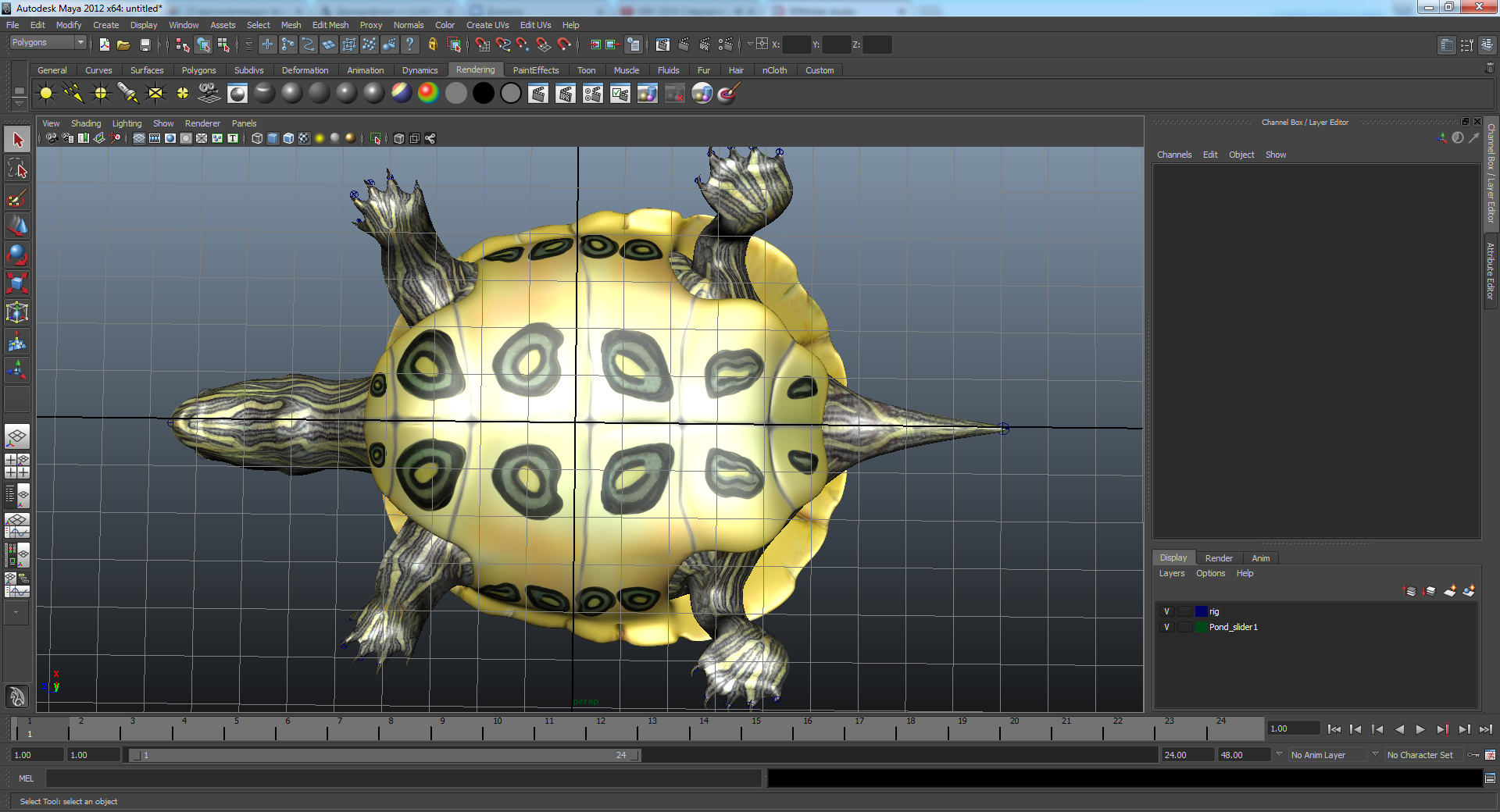 pond slider turtle rigged 3d model
