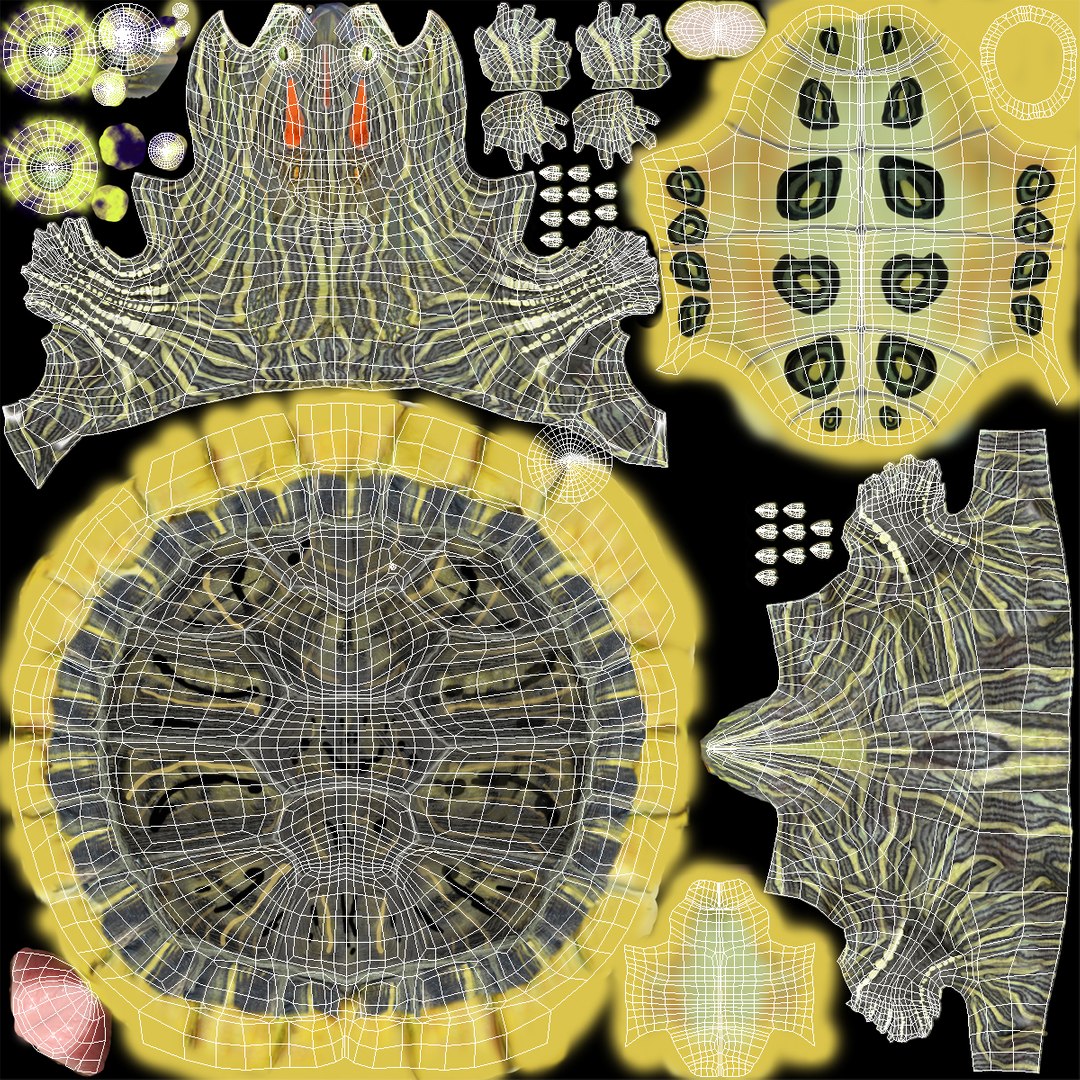 Pond Slider Turtle Rigged 3d Model