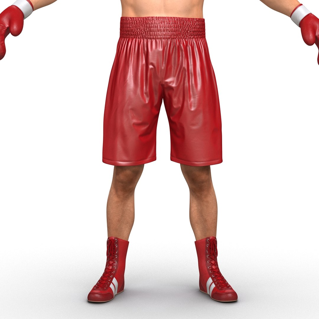 3d model of boxer man rigged
