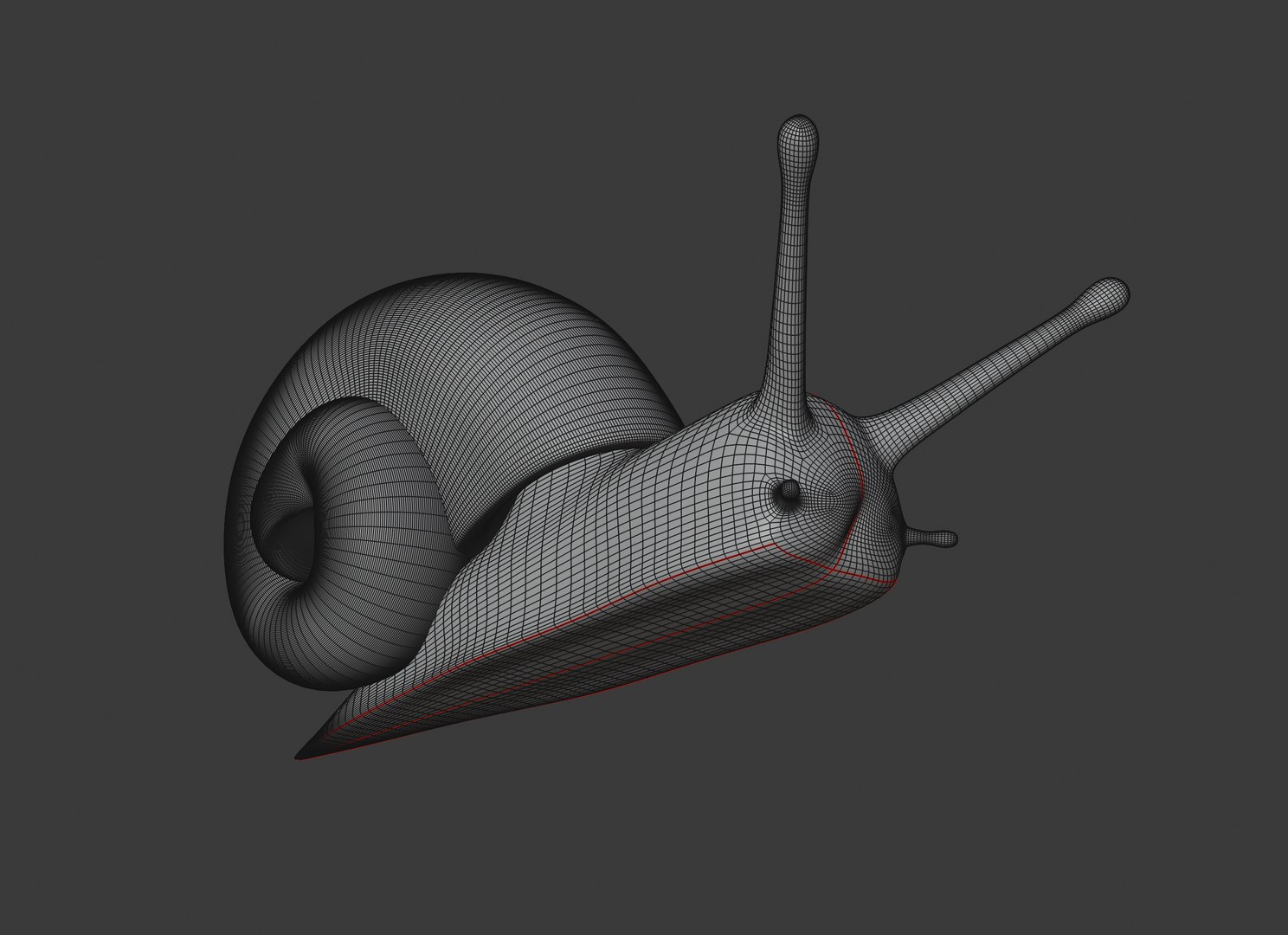 3D Snail Shell Model - TurboSquid 1482953
