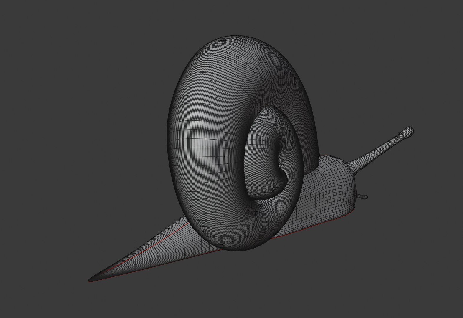 3D Snail Shell Model - TurboSquid 1482953