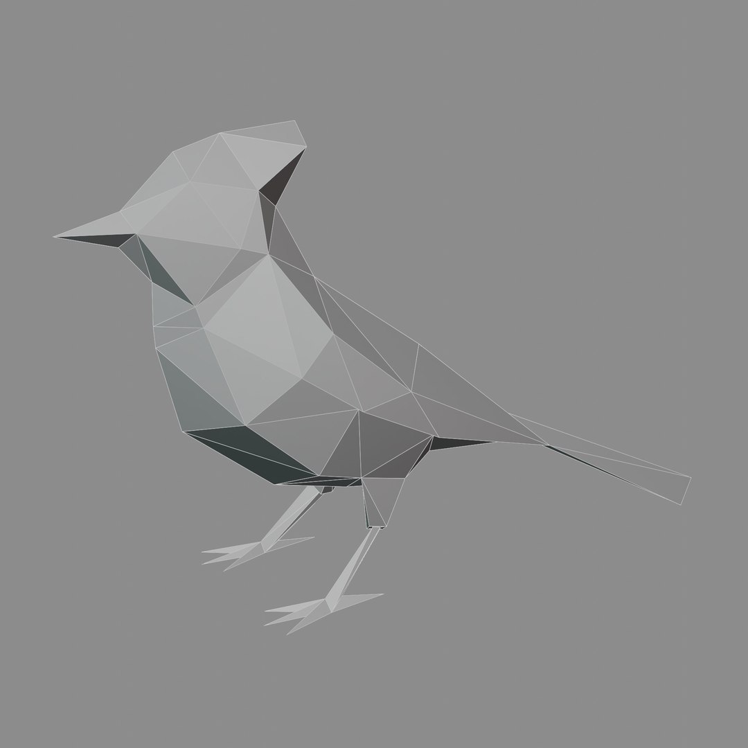 Bird - Blue Jay 3D Model - TurboSquid 2007496