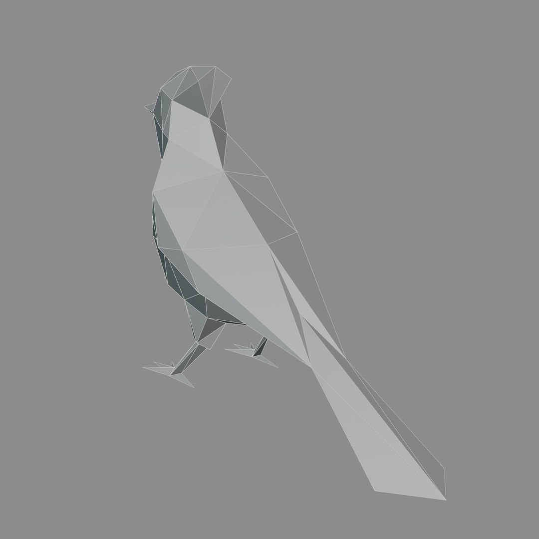 Bird - Blue Jay 3D Model - TurboSquid 2007496