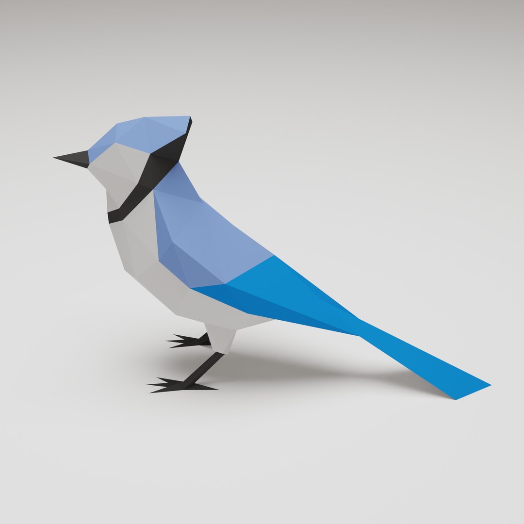 Bird - Blue Jay 3D Model - TurboSquid 2007496