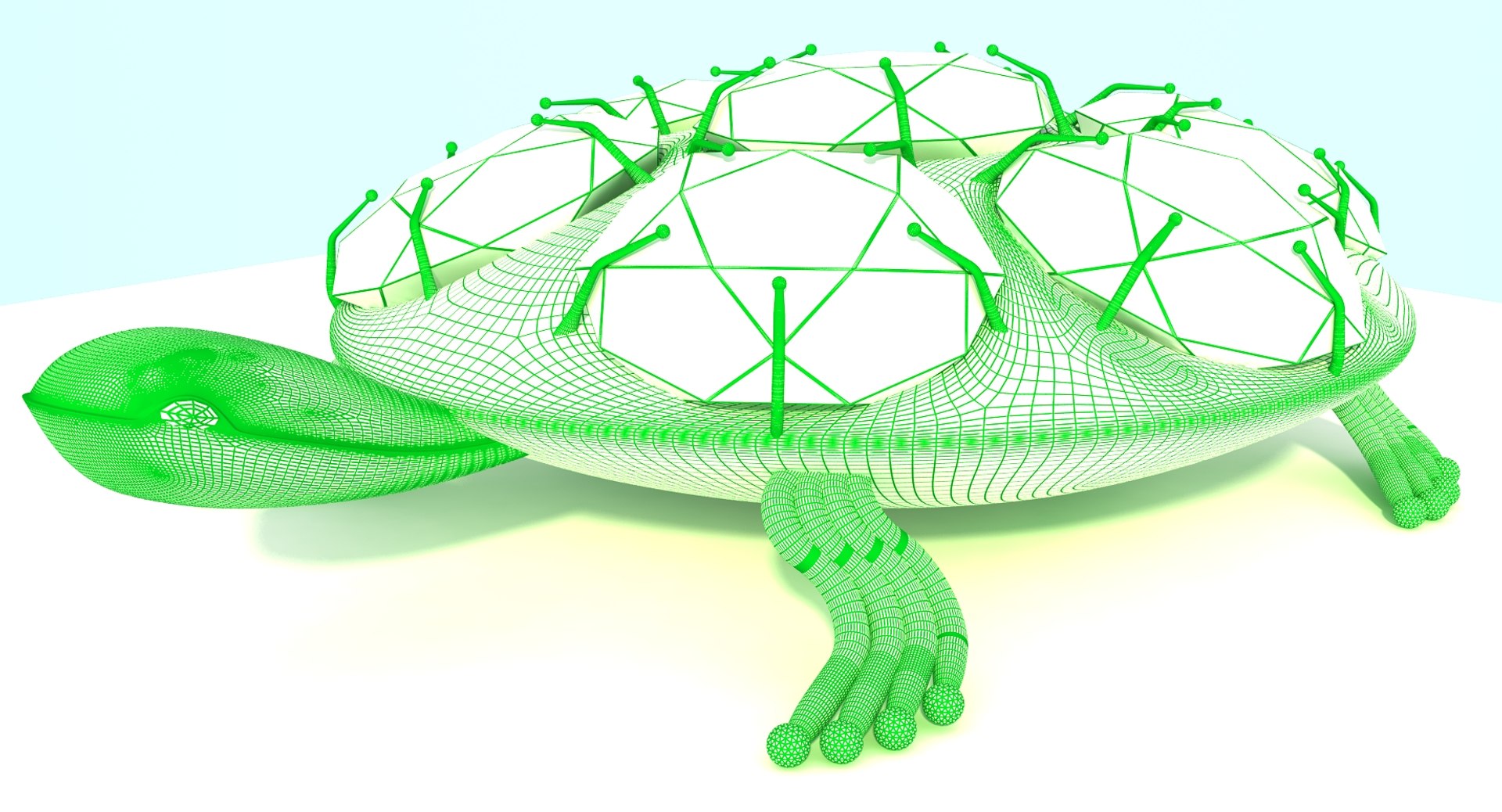 3D Turtle Diamond - TurboSquid 1190632