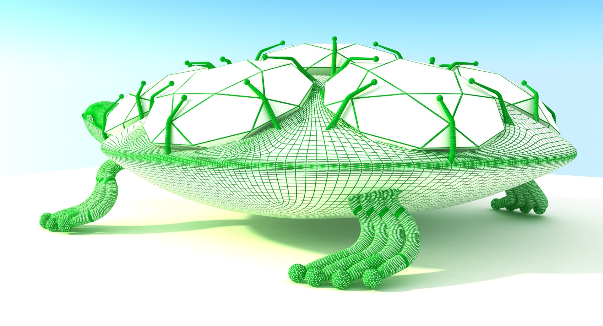 3D Turtle Diamond - TurboSquid 1190632