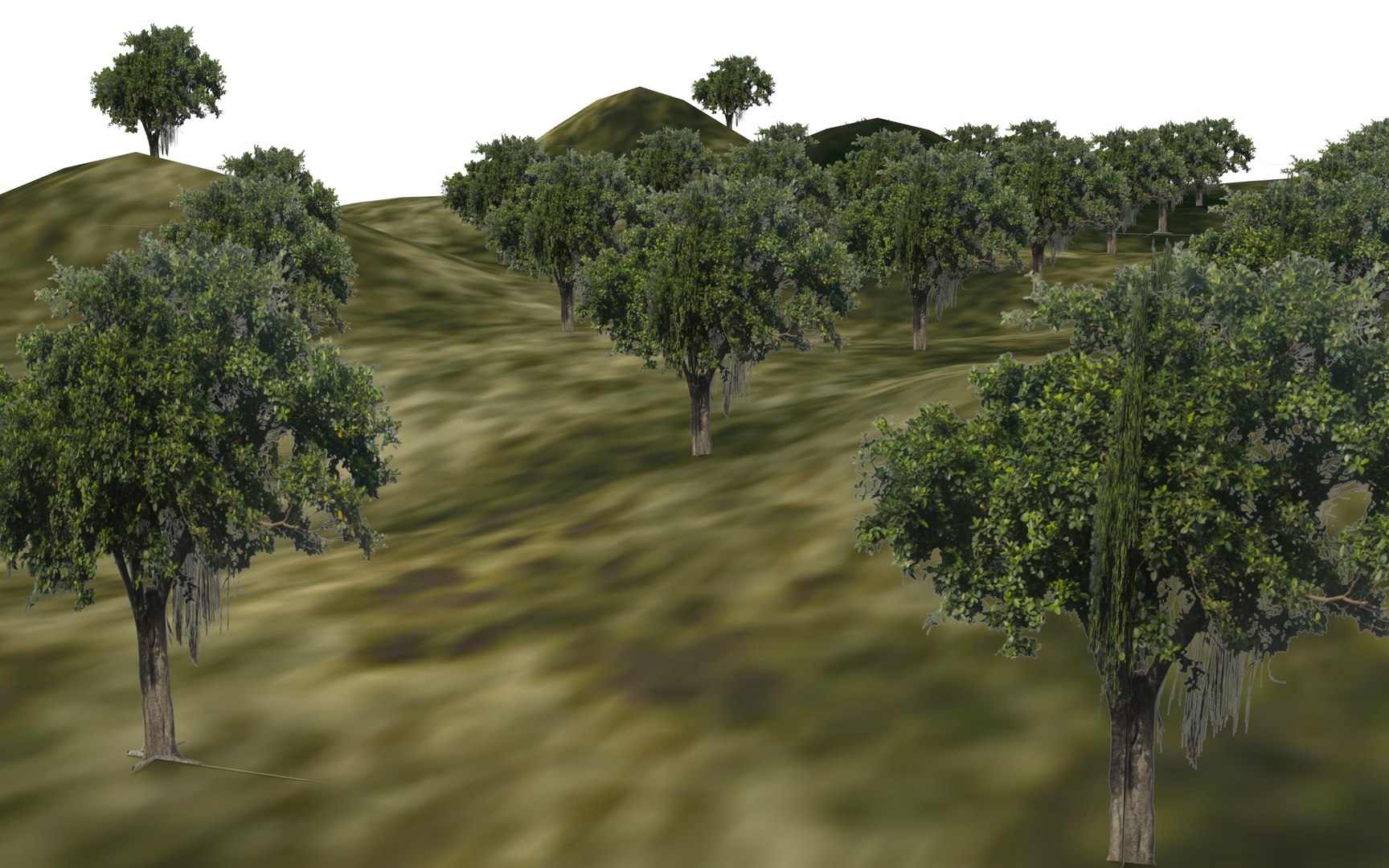 Forest 3D Model - TurboSquid 2172874
